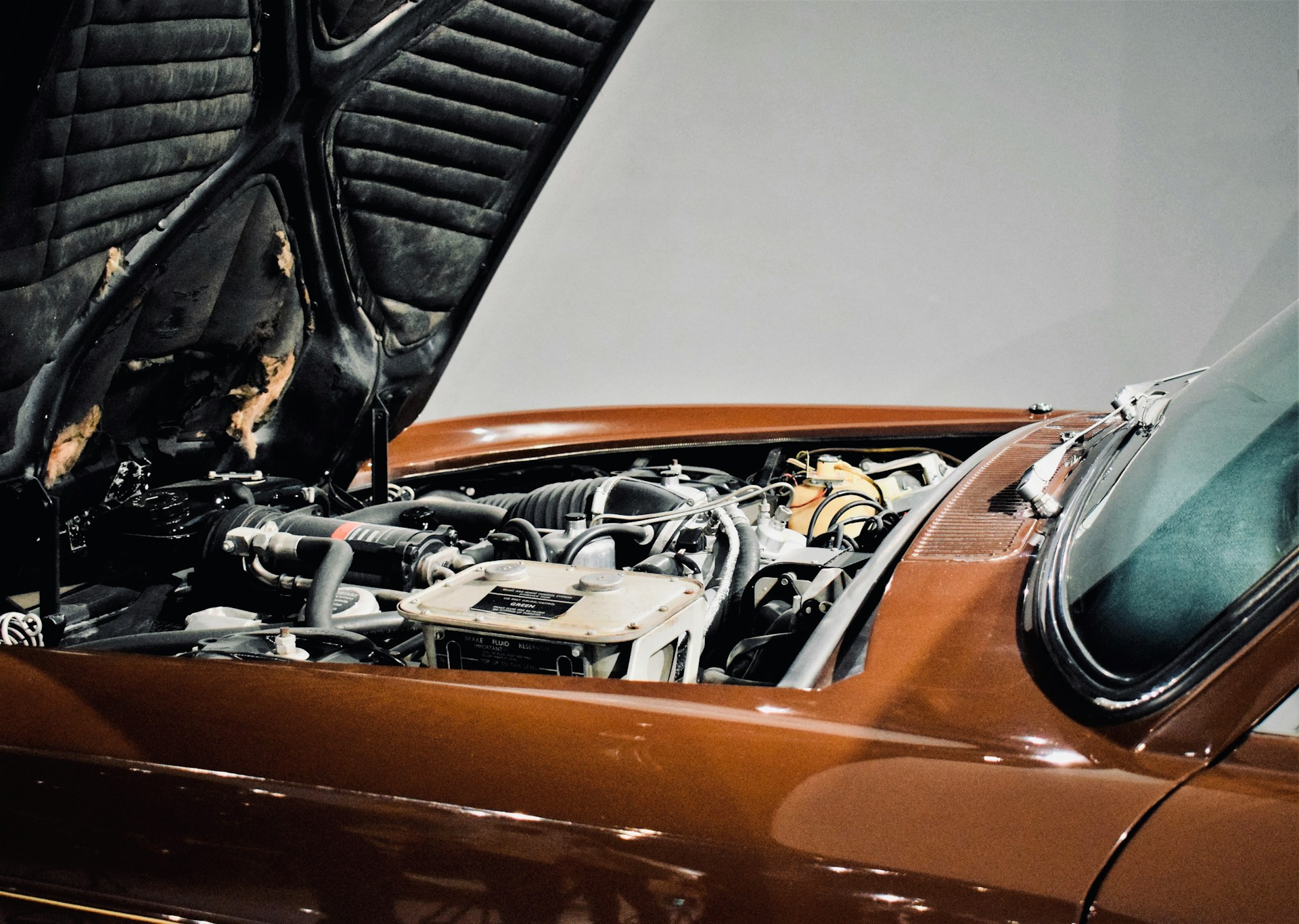 What Engine Does My Car Have? Find Car Engine Size & Type Fast